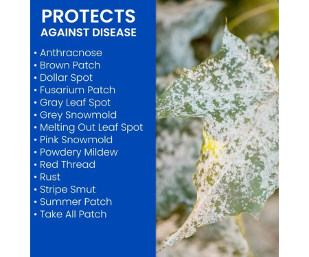 BioAdvanced Fungus Control for Lawns, Granules, 10 lb, 5,000 Sq Ft ...