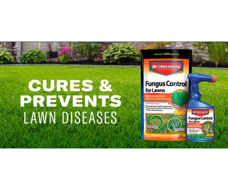 BioAdvanced Fungus Control for Lawns, Granules, 10 lb, 5,000 Sq Ft ...